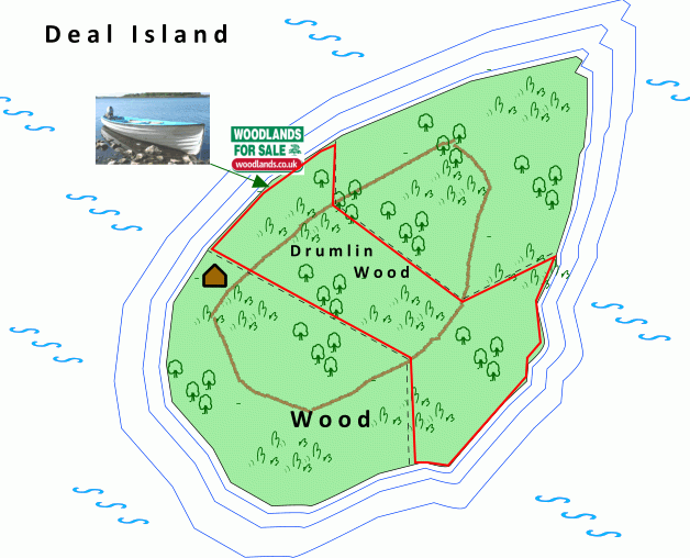 Drumlin Wood Particulars