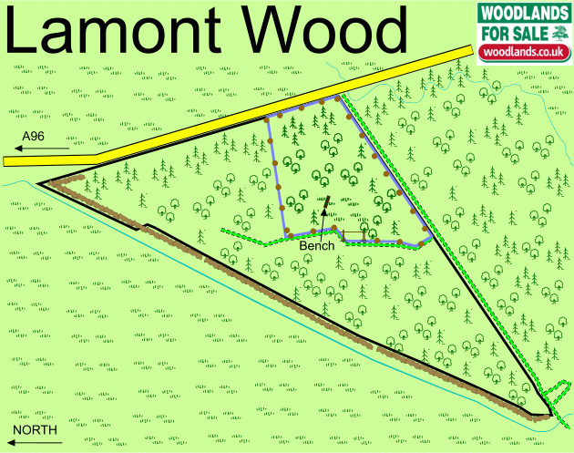 Lamont Wood Particulars