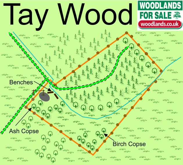 Tay Wood Particulars