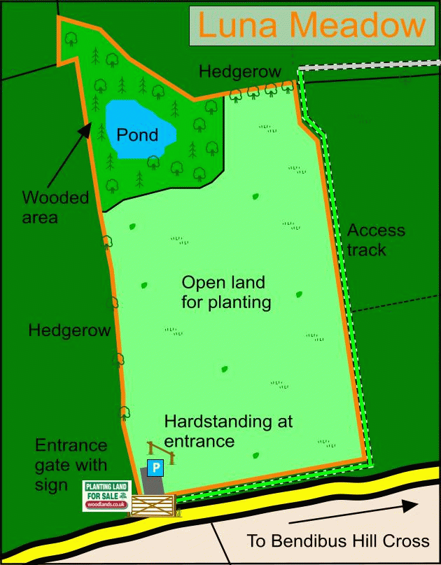 Luna Meadow Particulars