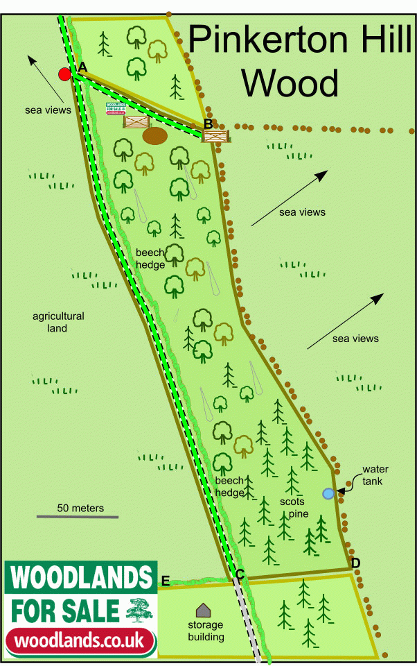 Pinkerton Hill Wood Particulars