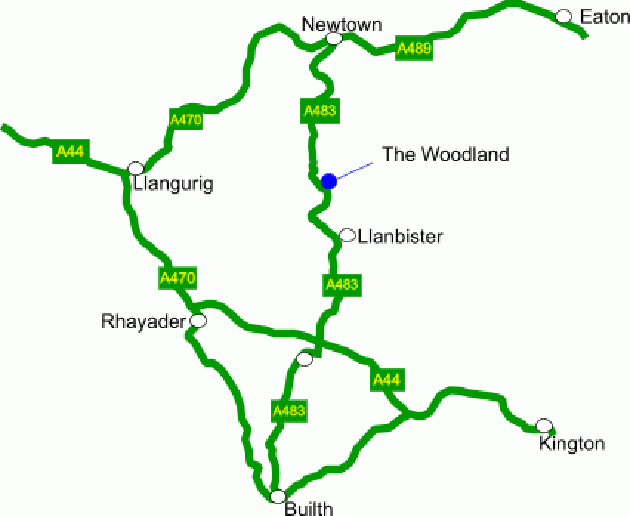 Castle Vale Wood, Llanbister, Llandrindod Wells, Powys | Woodlands.co.uk