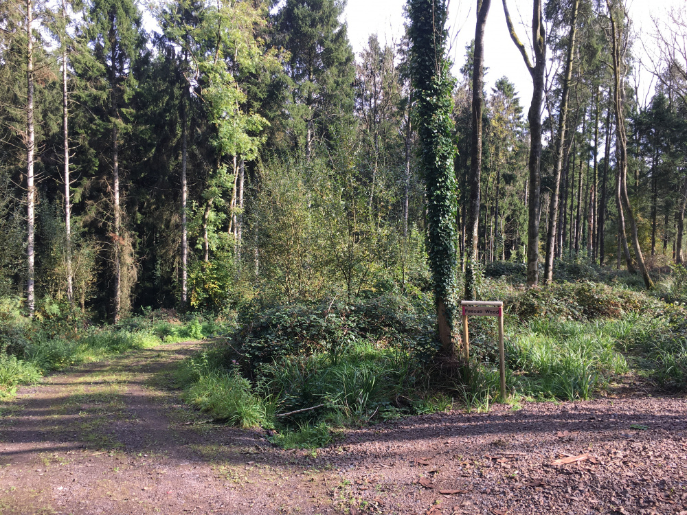 Woodlands for sale in Central England | Woodlands.co.uk