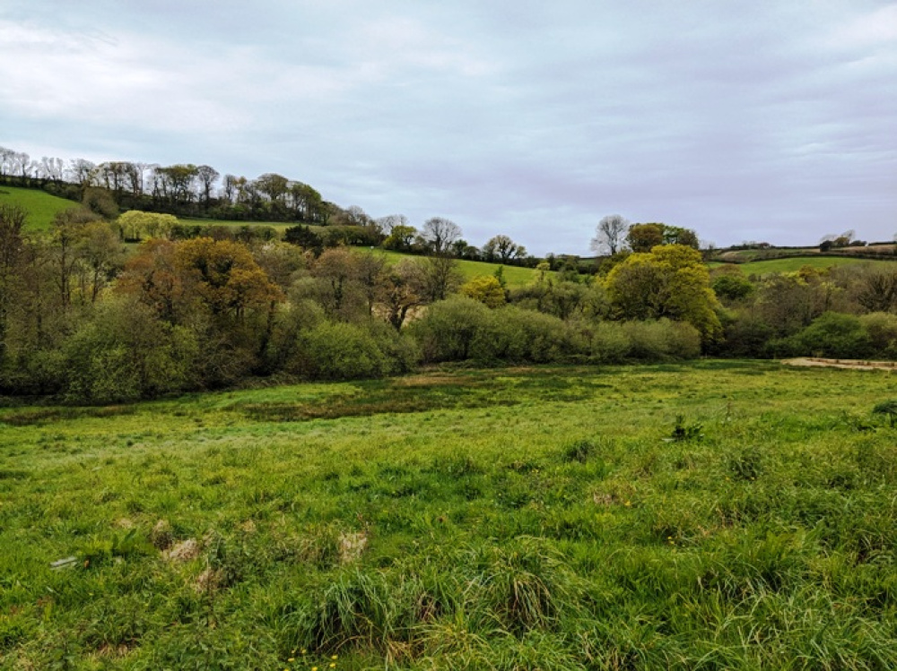 Trehele Copse & Meadow Particulars
