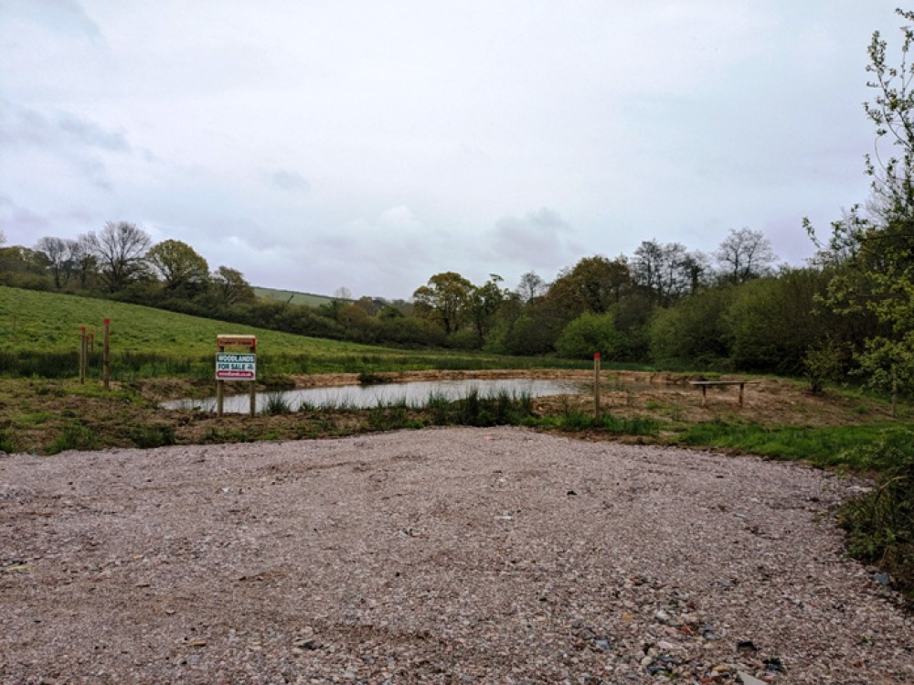 Trehele Copse & Meadow Particulars