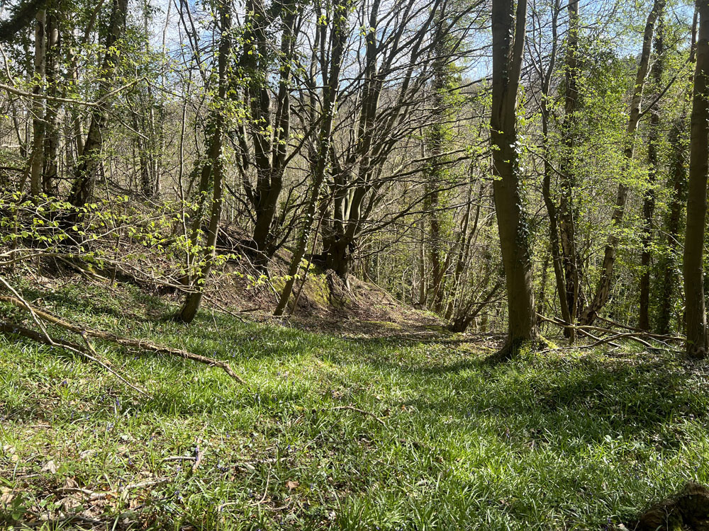 Benridge Bank Wood Particulars