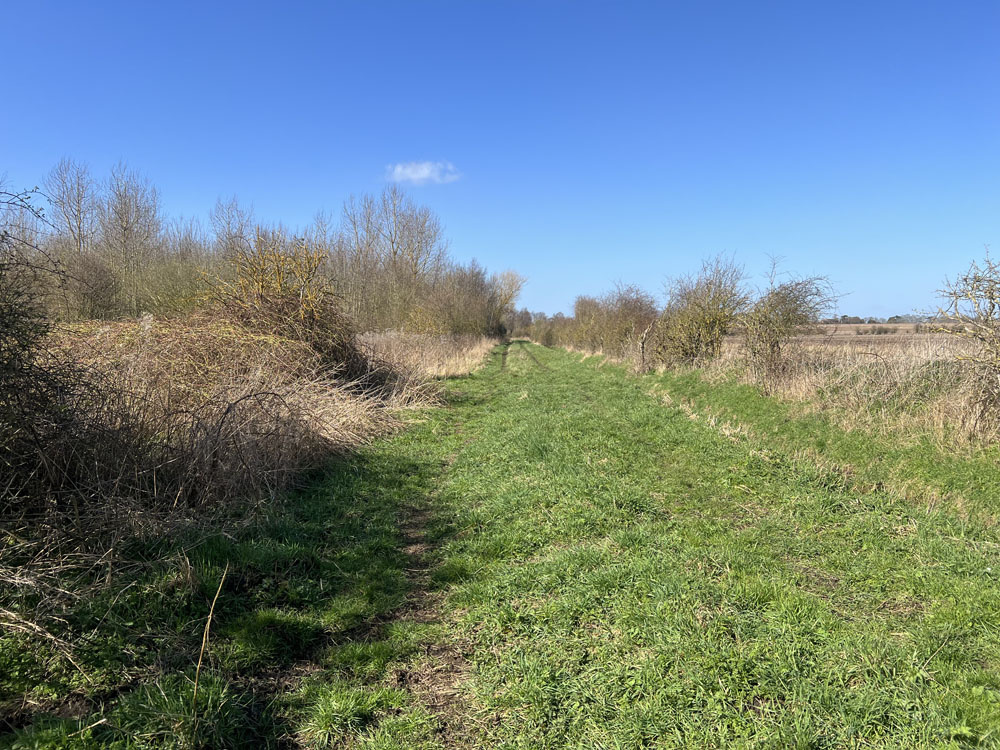 Cadney Wood East Particulars