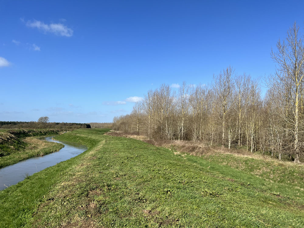 Cadney Wood East Particulars