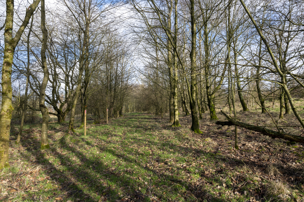 Ritton Copse Particulars