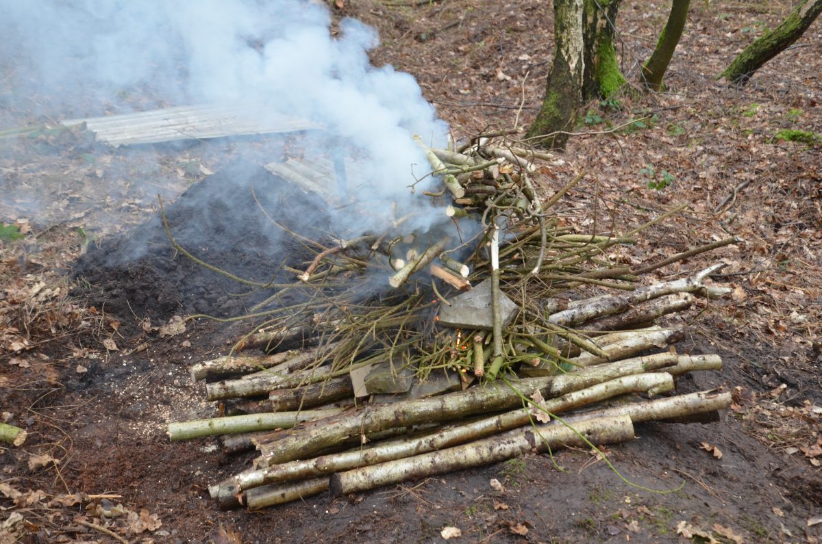 The Hangi : a traditional Maori cooking technique