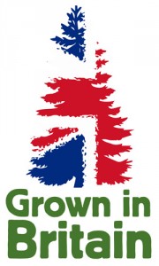 ‘Grown in Britain’ campaign could help smaller woodland owners