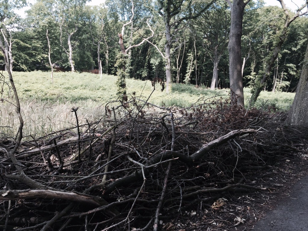Dead hedging : wildlife friendly and people guiding.